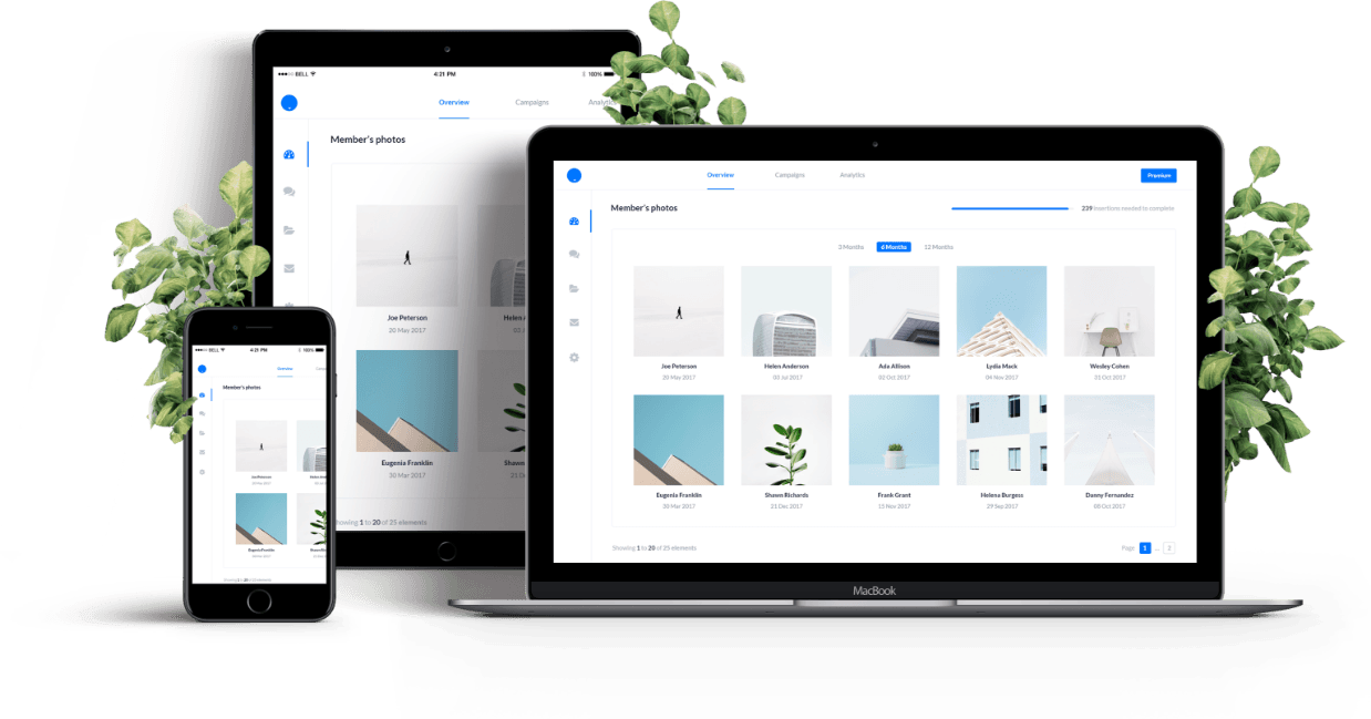Affordable and Professional website design and development services - Scriptfeeds